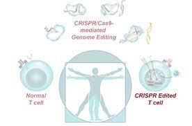 Medical Applications of CRISPR/Cas-9 Technologies | Polygence
