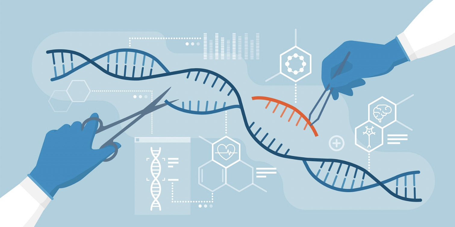 Gene Therapy With CRISPR-Cas9 To Treat Multiple Sclerosis | Polygence