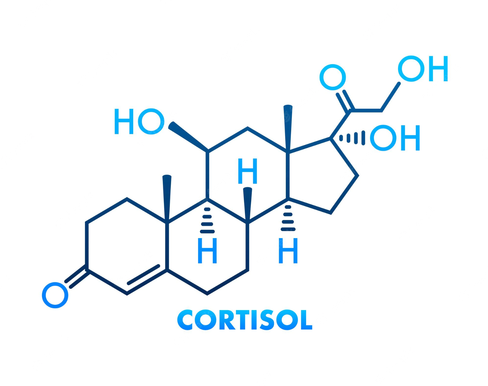Literature Review The Effect Of Childhood Trauma On Cortisol Levels 
