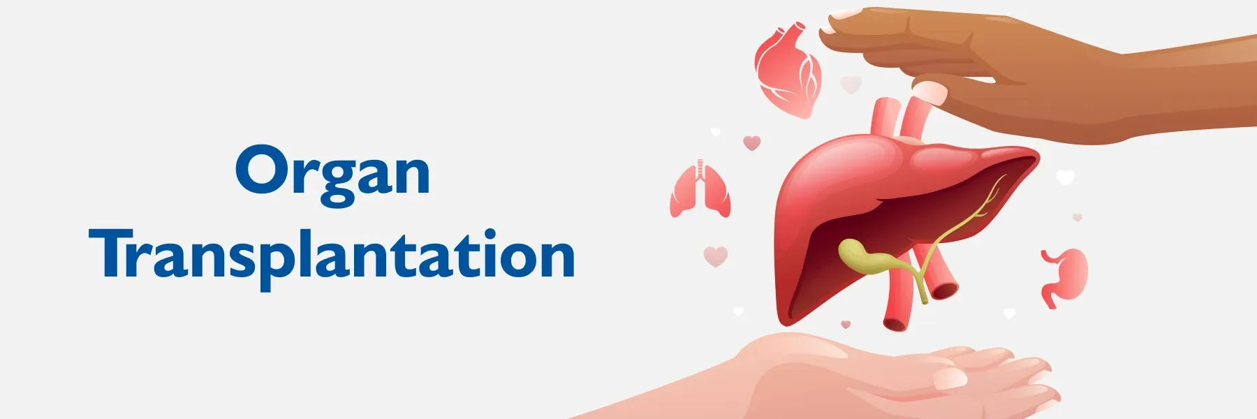 The High Price of Life: Analyzing the Cost of Transplants | Polygence