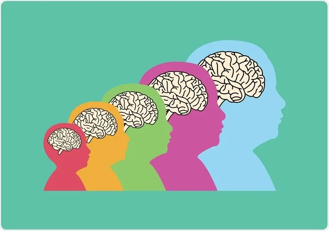 Early Childhood: Key Factors in Brain Development & Adjustment | Polygence